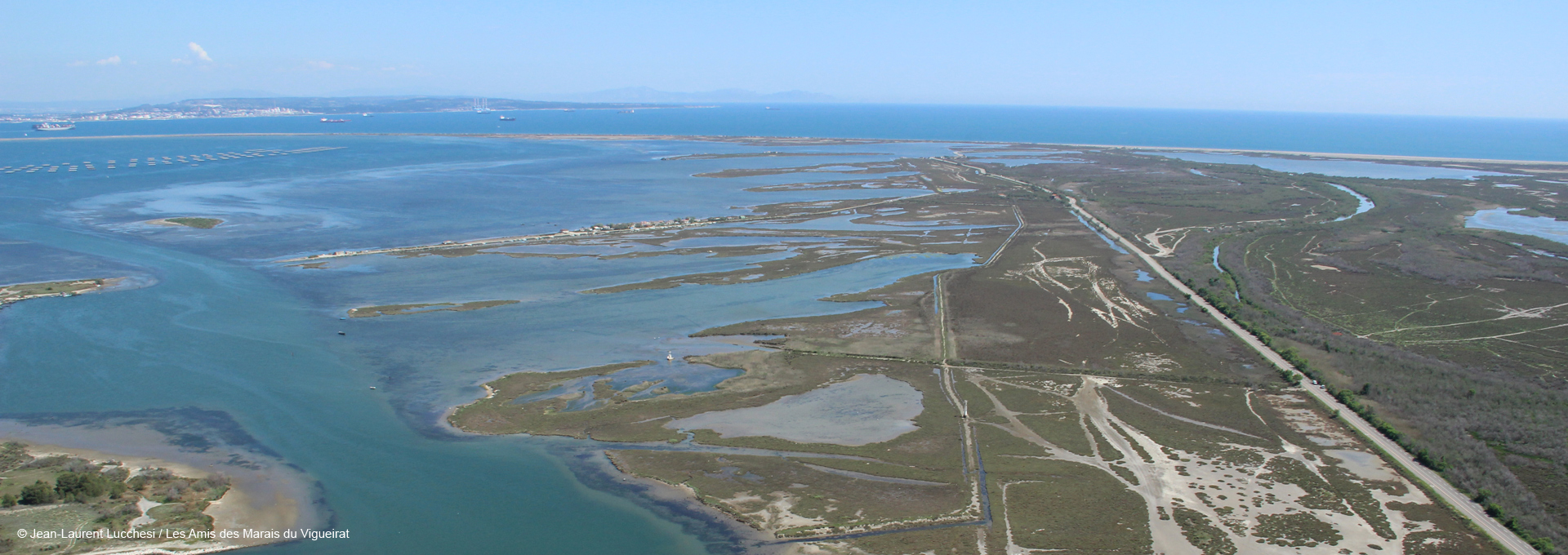 Visite et sortie nature Alpilles - Camargue - Crau | ACCRO de NATURE